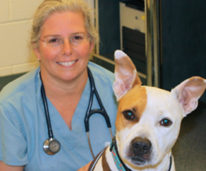 Lisa Moses, VMD, DACVIM, CVMA