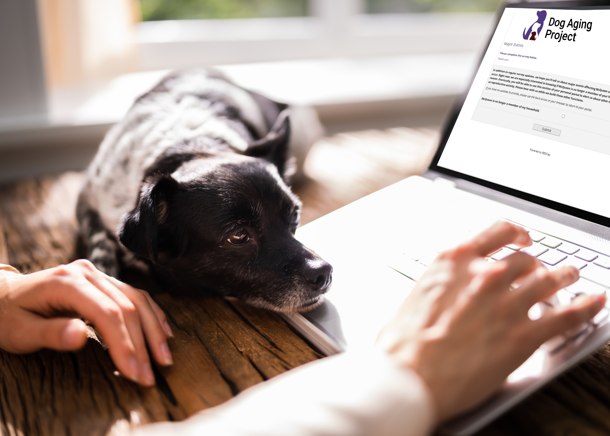 Scientific Results: Development and Validation of a Novel Instrument to ...