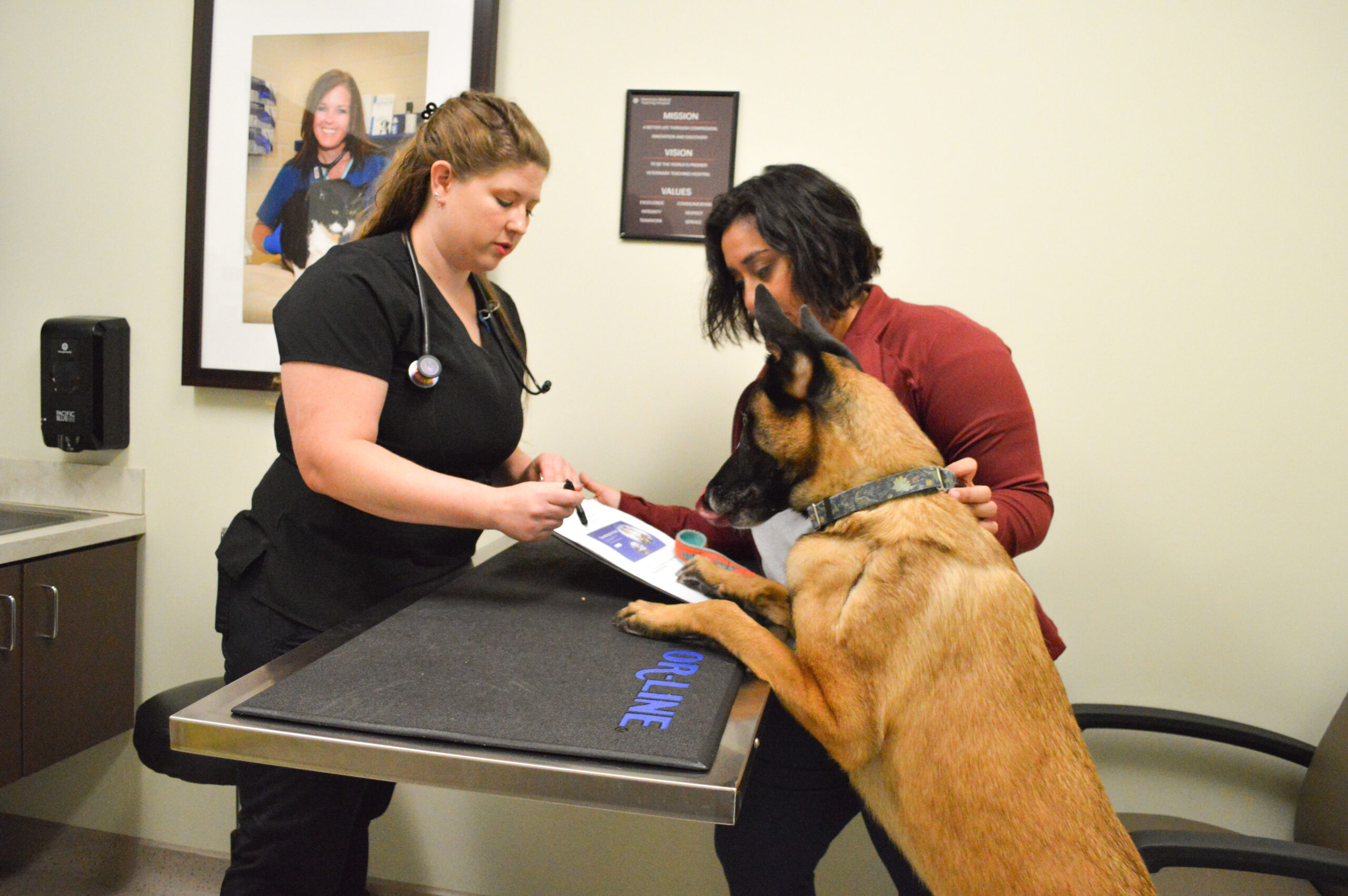 Inside Science: Introducing the Test of Rapamycin in Aging Dogs