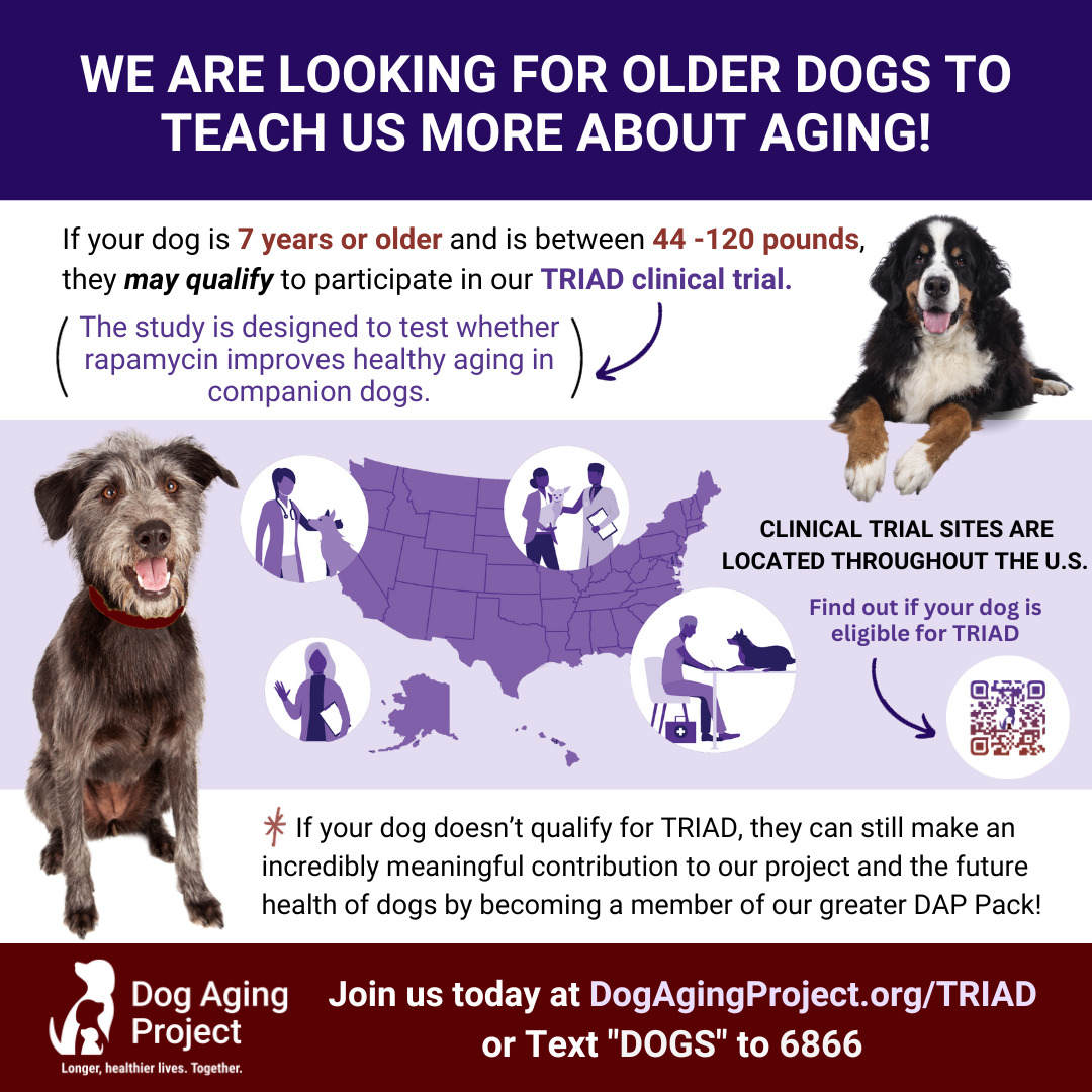 TRIAD More Doggos Needed Social Media Post